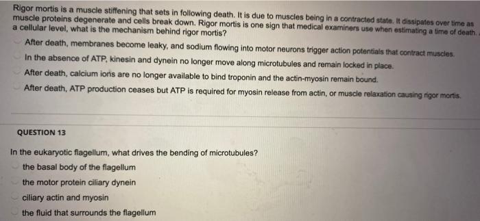 Solved Rigor mortis is a muscle stiffening that sets in | Chegg.com