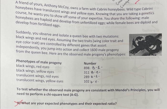 Solved i ONLY need help with A. Finding thr expected | Chegg.com