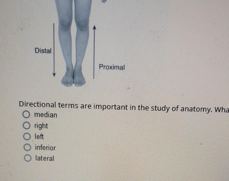 Solved QUESTION 193 A. B. Midline Superior (Cephalic) | Chegg.com