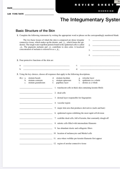Solved REVIEW SHEETS NAME EXERCISE LAB TIME/DATE The | Chegg.com