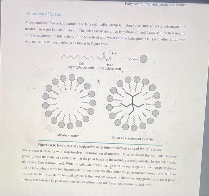 Solved Properties of Soaps A soap molecule has a dual | Chegg.com