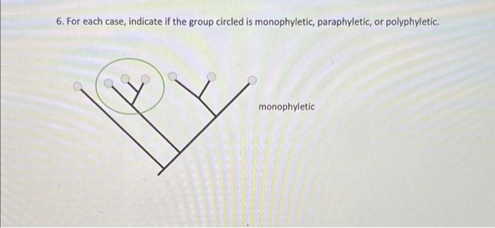 Solved 6. For each case, indicate if the group circled is | Chegg.com