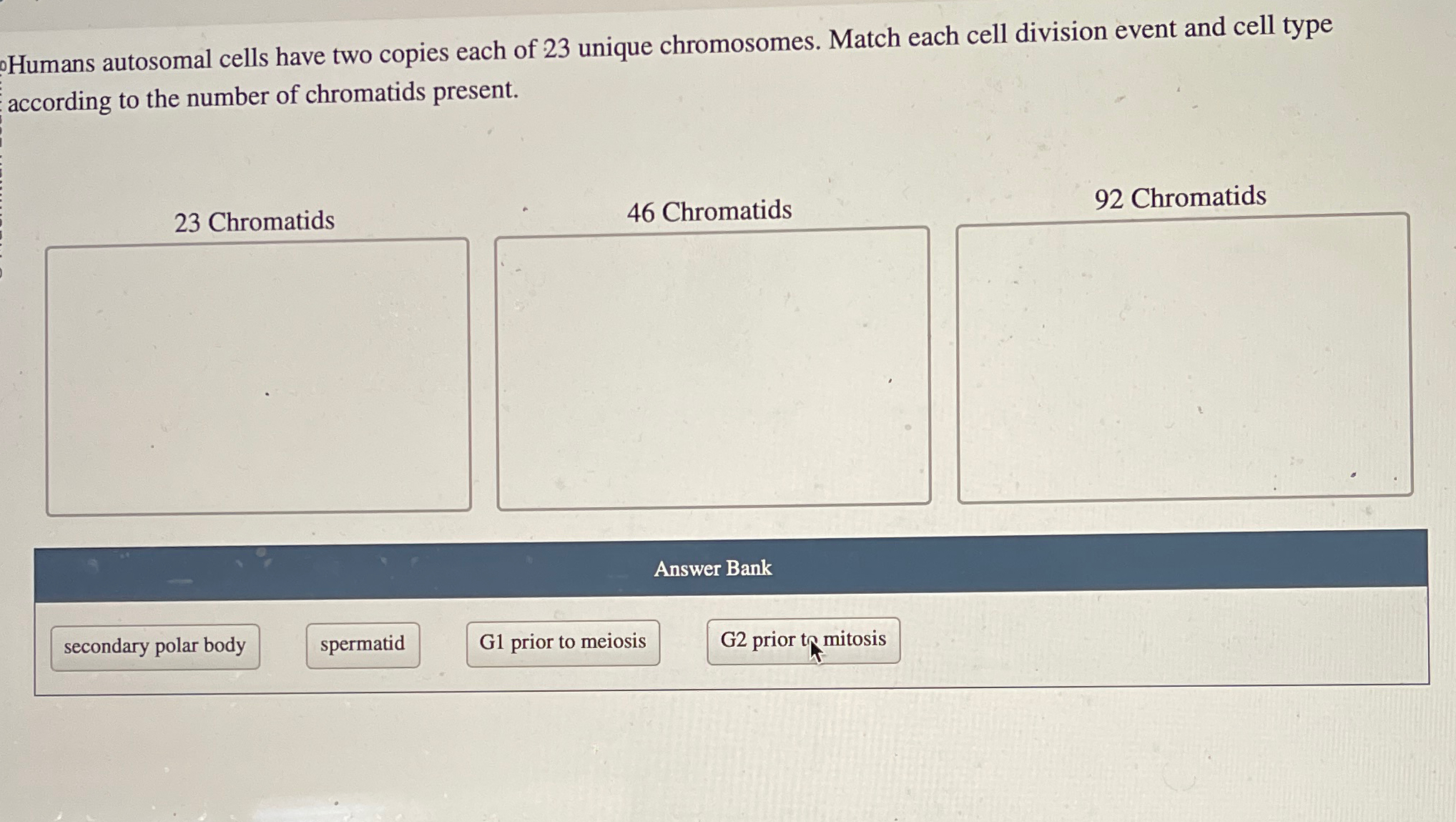 Solved -Humans autosomal cells have two copies each of 23 | Chegg.com