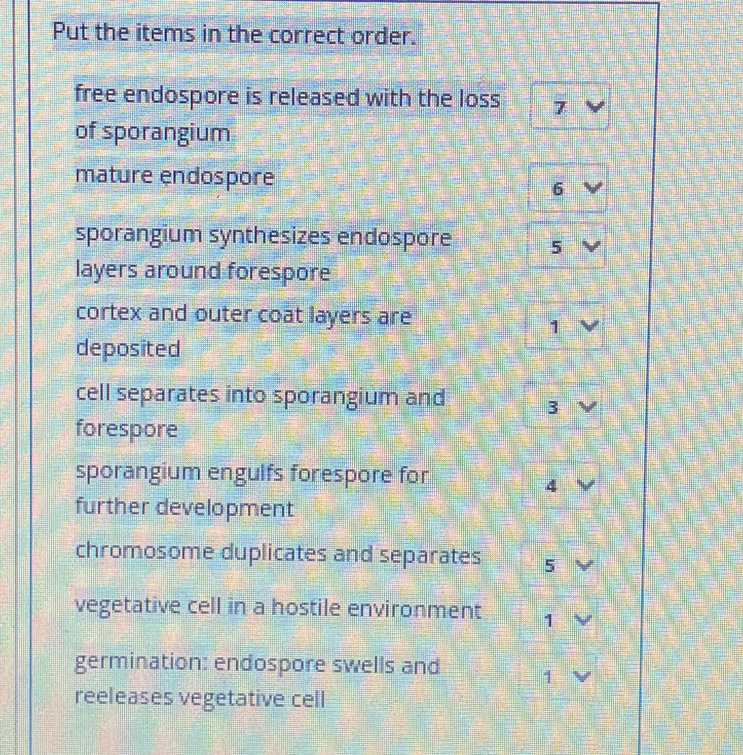 Solved Put the items in the correct order.free endospore is | Chegg.com