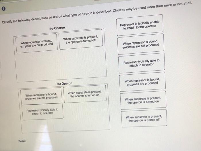 Solved Classify the following descriptions based on what | Chegg.com