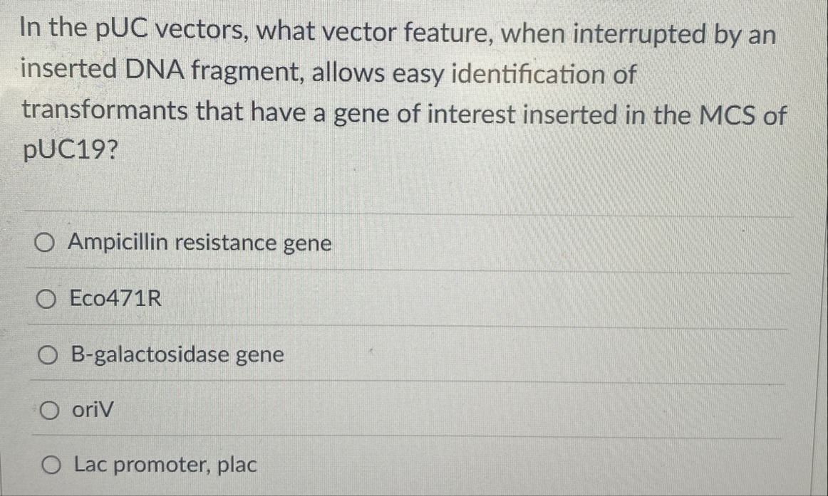 Solved In the pUC vectors, what vector feature, when | Chegg.com