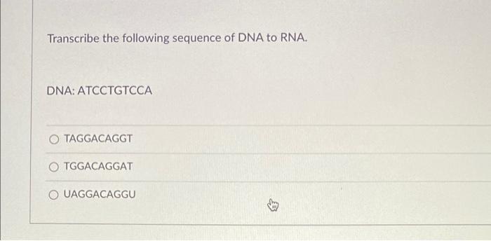 Solved Transcribe the following sequence of DNA to RNA. DNA: | Chegg.com Solved Transcribe the following sequence of DNA to RNA. DNA: | Chegg.com