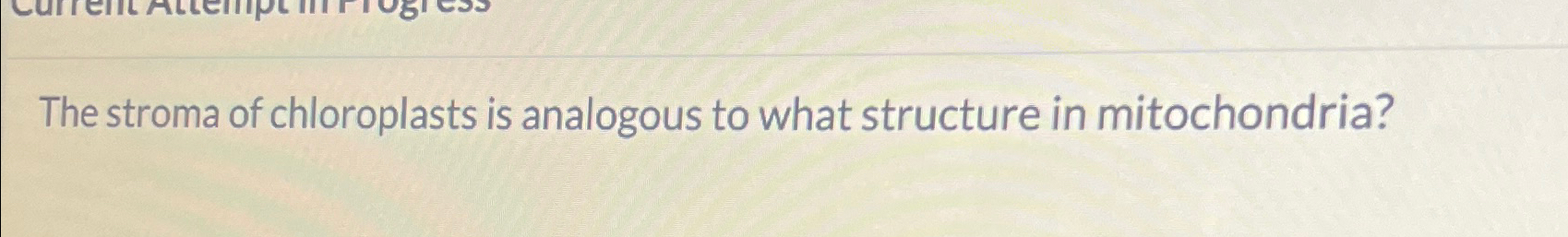 Solved The stroma of chloroplasts is analogous to what | Chegg.com