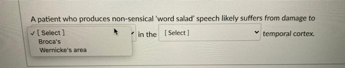 Solved A patient who produces non-sensical word salad' | Chegg.com