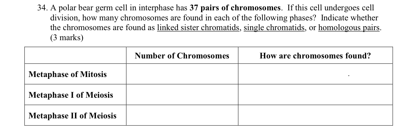 Solved A polar bear germ cell in interphase has 37 ﻿pairs of | Chegg.com