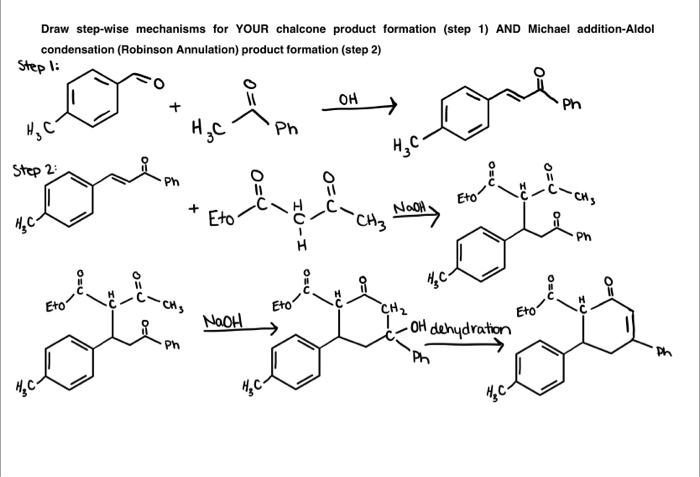 Solved Draw step-wise mechanisms for YOUR chalcone product | Chegg.com