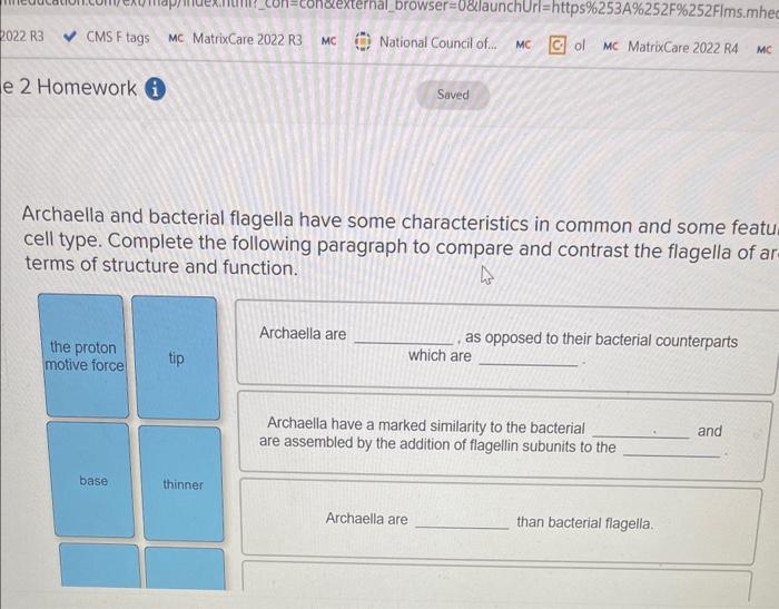 Solved Archaella and bacterial flagella have some | Chegg.com