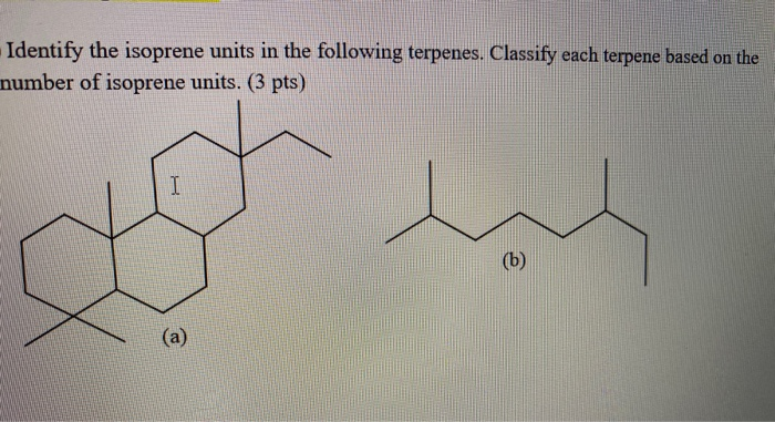 Solved Identify the isoprene units in the following | Chegg.com