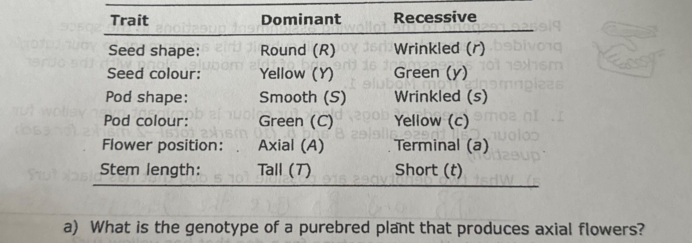 Solved \table[[Trait,Dominant,Recessive],[Seed shape:,Round | Chegg.com