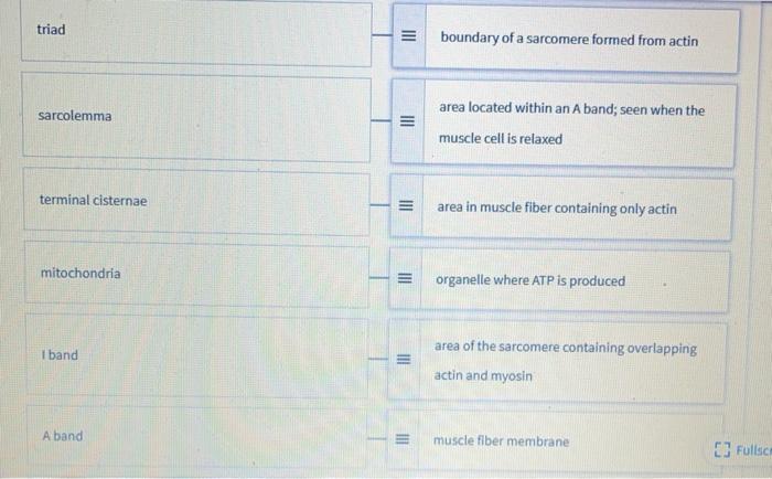 Solved match the muscle fiber structure or component with | Chegg.com