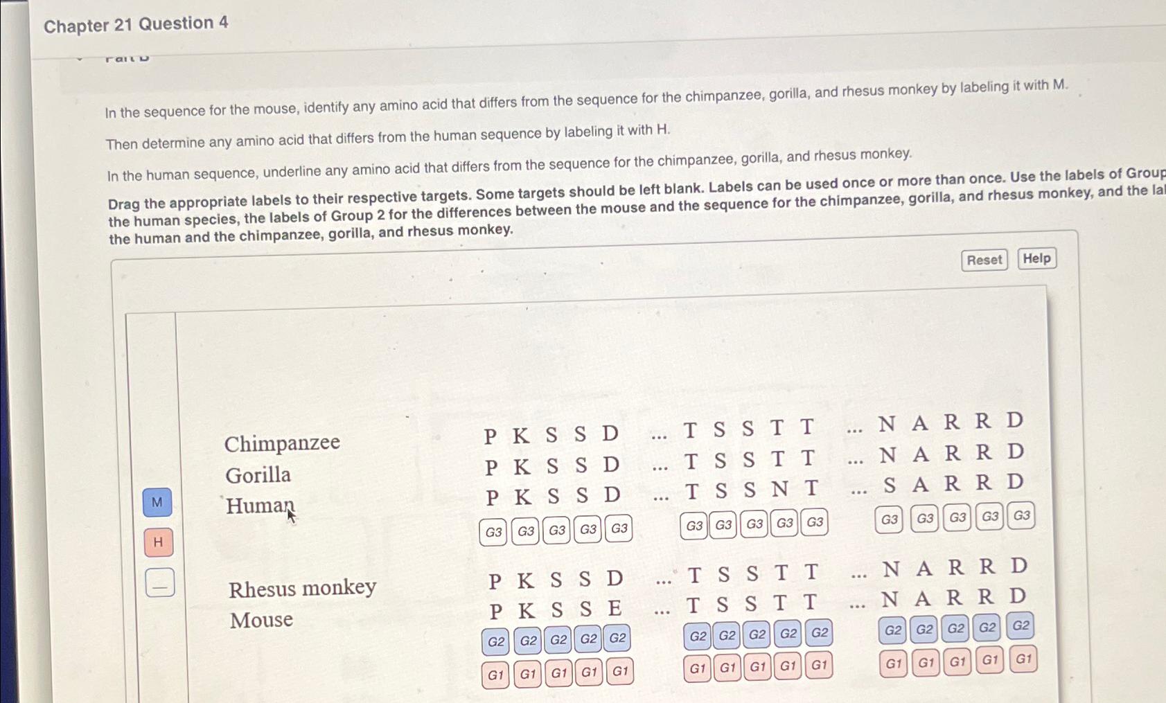 Solved Chapter 21 ﻿Question 4In the sequence for the mouse, | Chegg.com