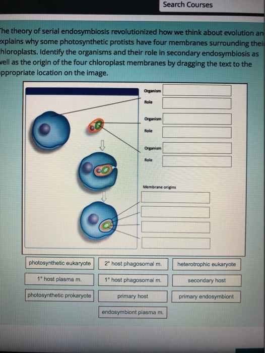 Solved Search Courses The theory of serial endosymbiosis | Chegg.com