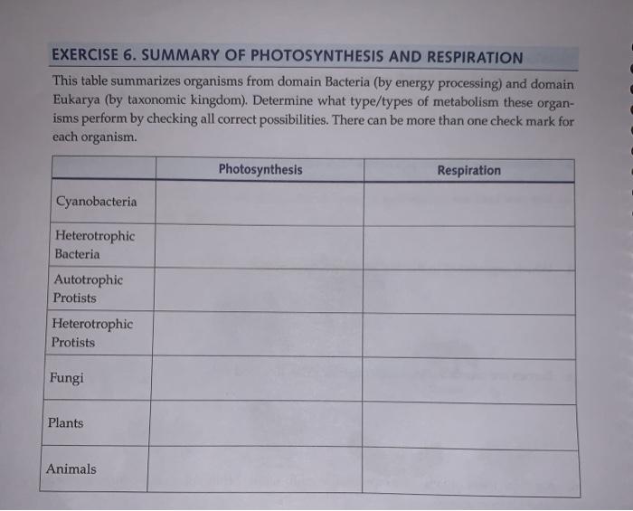 Solved EXERCISE 6. SUMMARY OF PHOTOSYNTHESIS AND RESPIRATION | Chegg.com