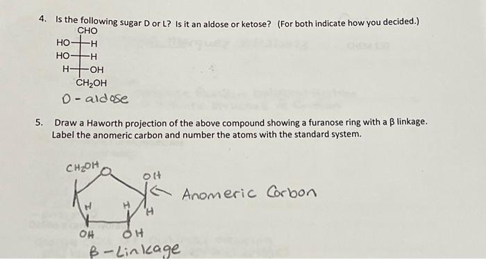 Solved Take your structure in Q4 and next to that (above, | Chegg.com