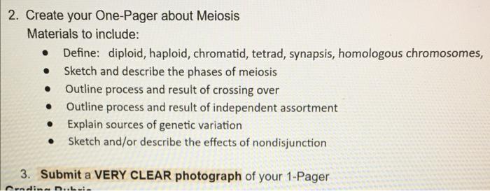 Solved 2. Create your One-Pager about Meiosis Materials to | Chegg.com
