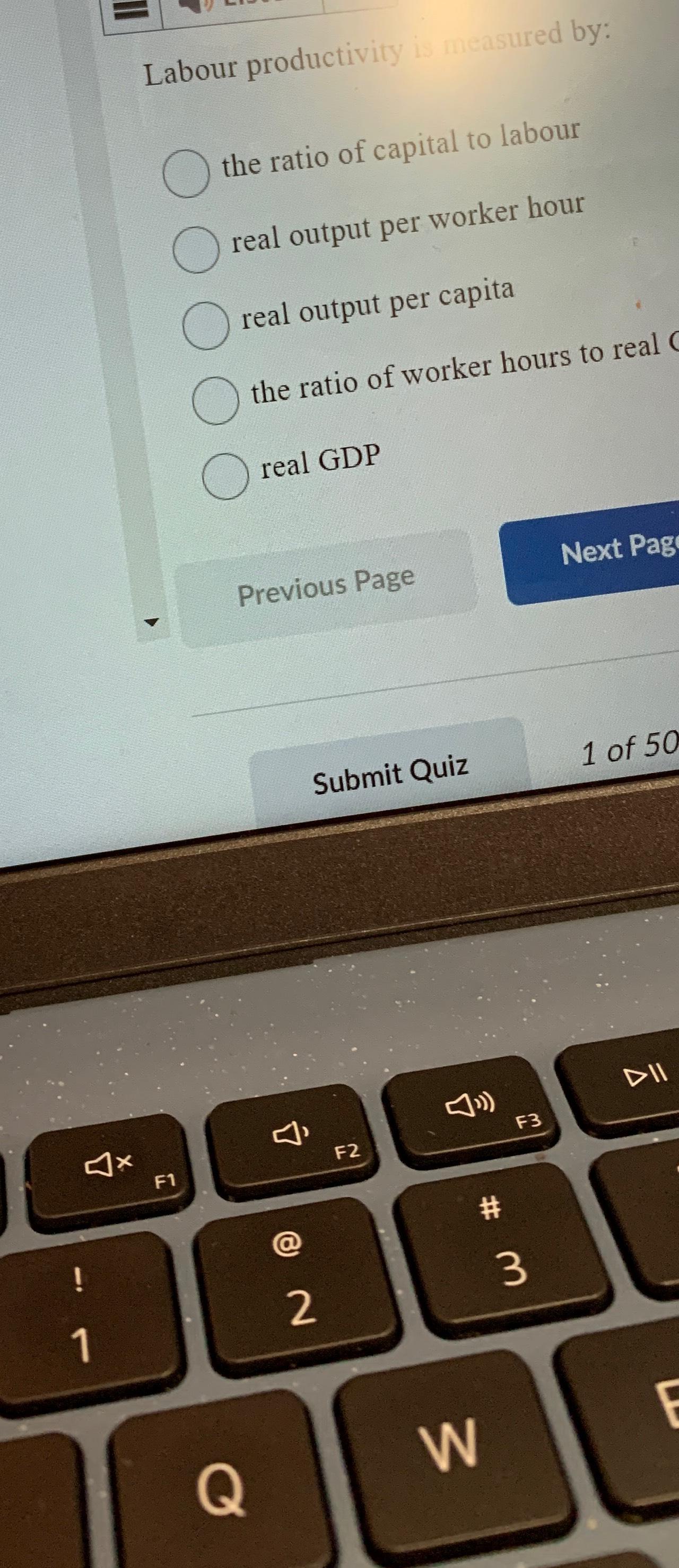 Solved Labour productivity ing cased by:the ratio of capital | Chegg.com