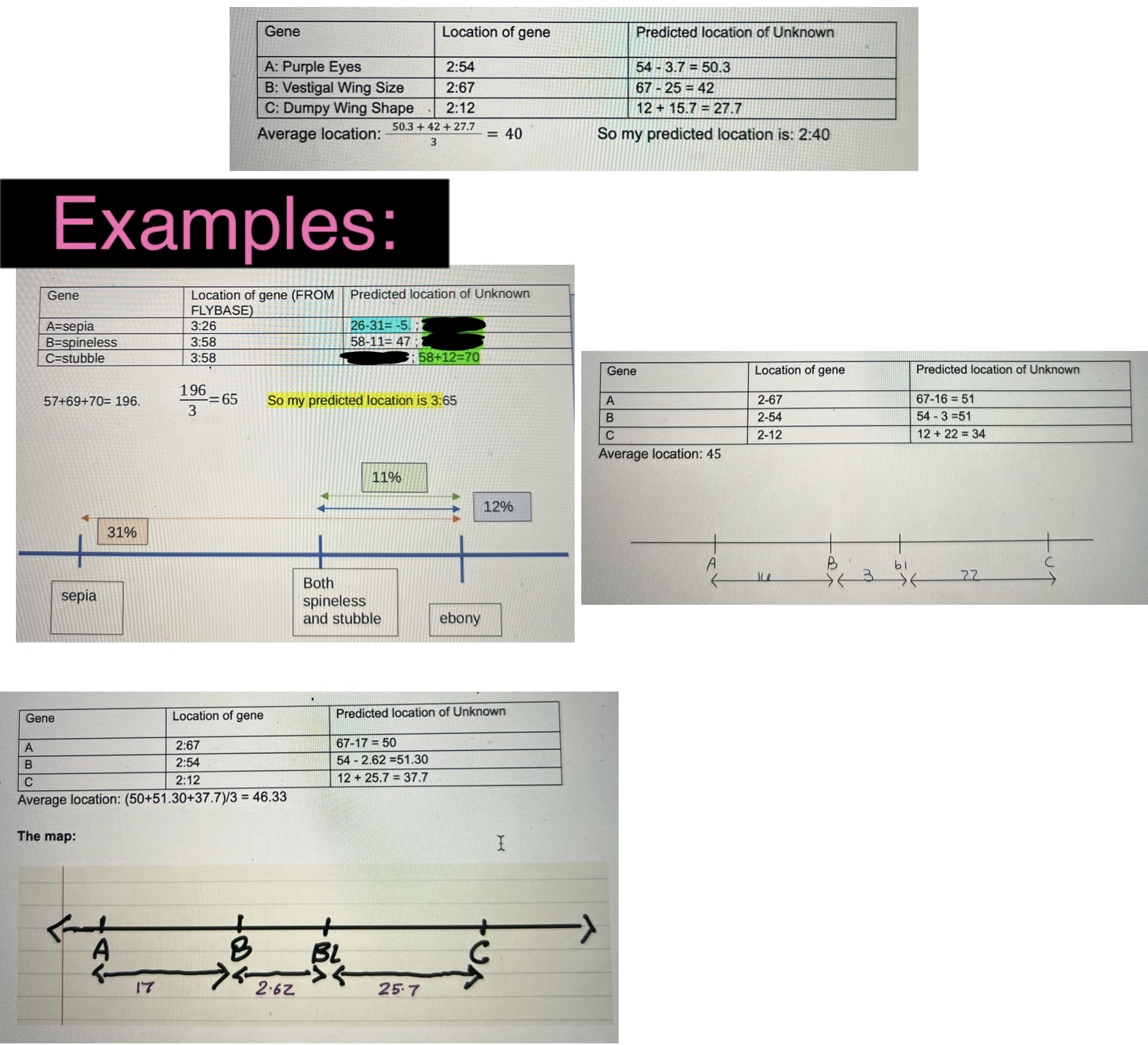 Solved Can You Please Draw Out A Recombination Map For My