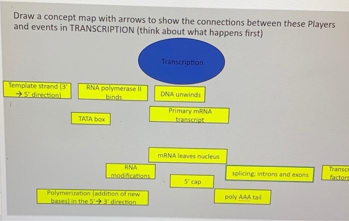 Solved Draw a concept map with arrows to show the | Chegg.com