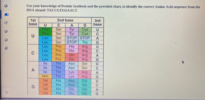 Solved If a DNA strand has a sequence GTA, what will be the | Chegg.com