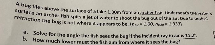 Solved A bug flies above the surface surface an archer fish | Chegg.com