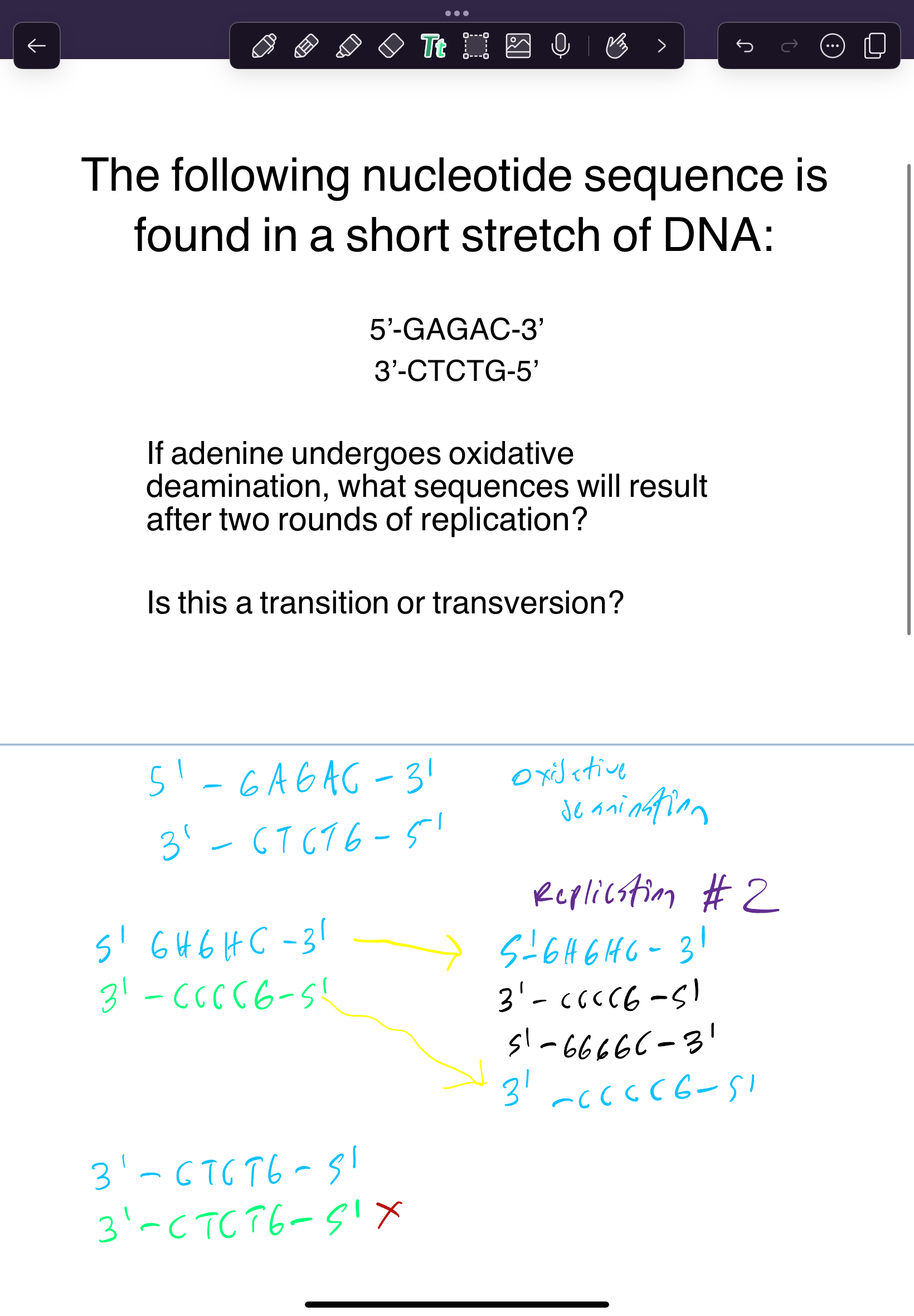 Solved The following nucleotide sequence isfound in a short | Chegg.com