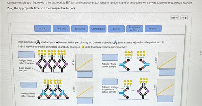 Solved MICROBIOLOGY Correctly match each figure with their | Chegg.com