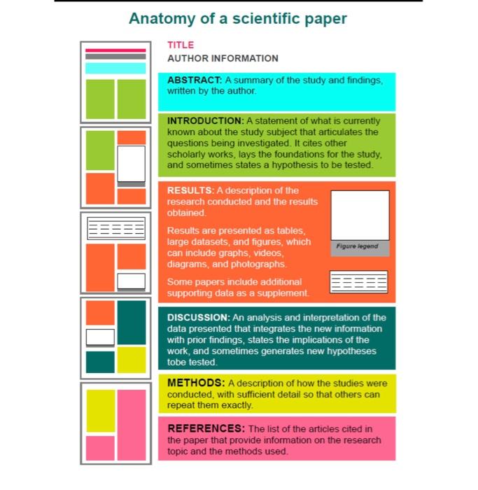 Solved Anatomy of a scientific paper TITLE AUTHOR | Chegg.com