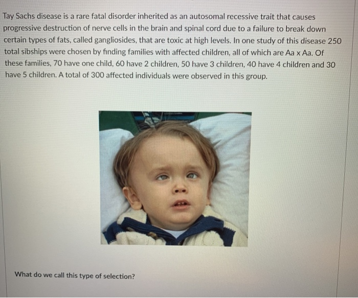 Solved Tay Sachs disease is a rare fatal disorder inherited | Chegg.com