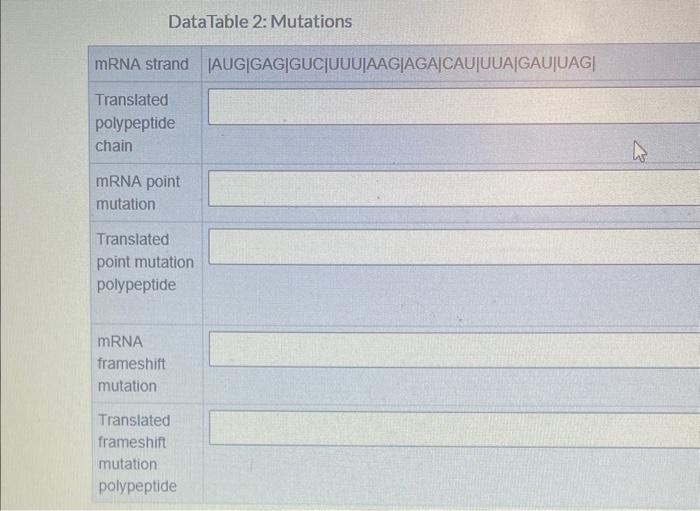 Solved DataTable 2: Mutations mRNA strand | Chegg.com