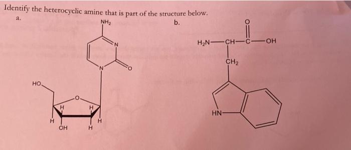 Solved Provide the IUPAC name for the following molecules: | Chegg.com