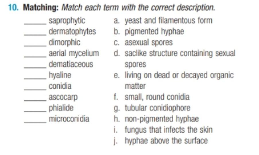 Solved 10. Matching: Match each term with the correct | Chegg.com