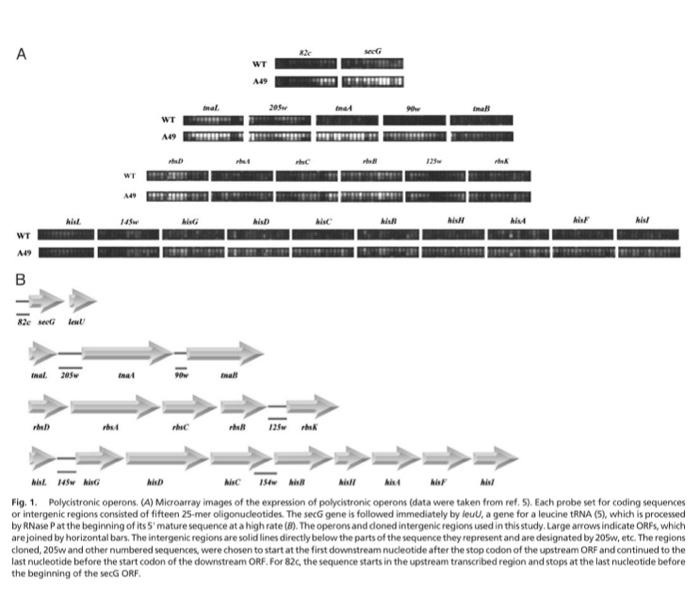 Solved the beginning of the secG oer. 3. By looking at the | Chegg.com