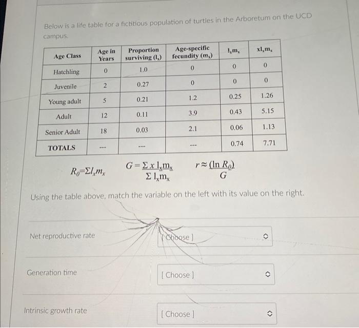 Solved Below is a life table for a fictitious population of | Chegg.com