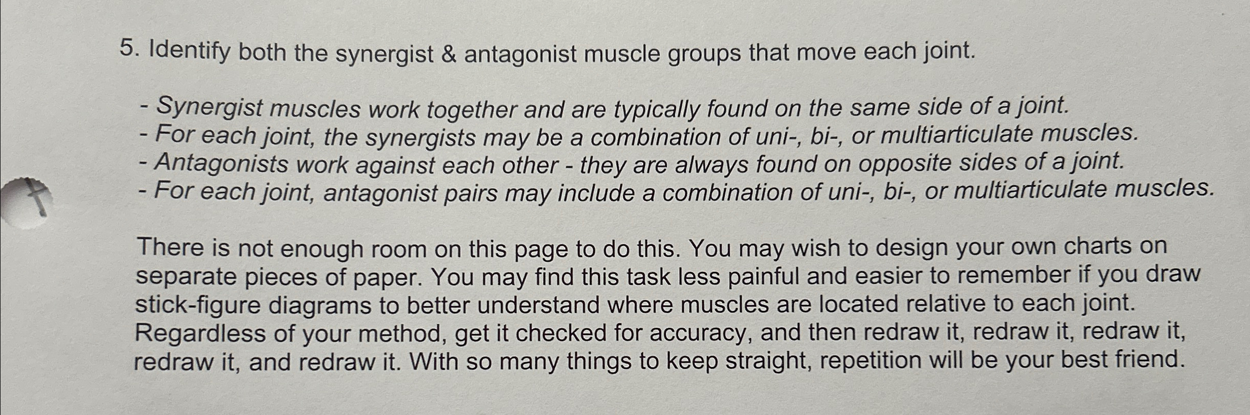 Solved Identify both the synergist & antagonist muscle | Chegg.com