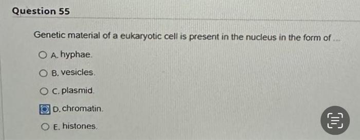 Solved Some bacteria form endospores in response to ... A. | Chegg.com