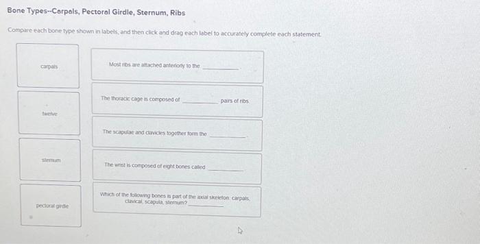 Solved Bone Types--Carpals, Pectoral Girdle, Sternum, Ribs | Chegg.com