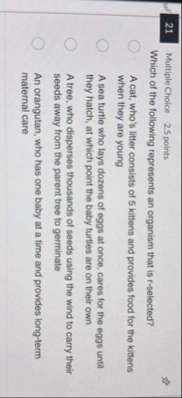 Solved 21Multiple Choice 2.5 ﻿pointsWhich of the following | Chegg.com