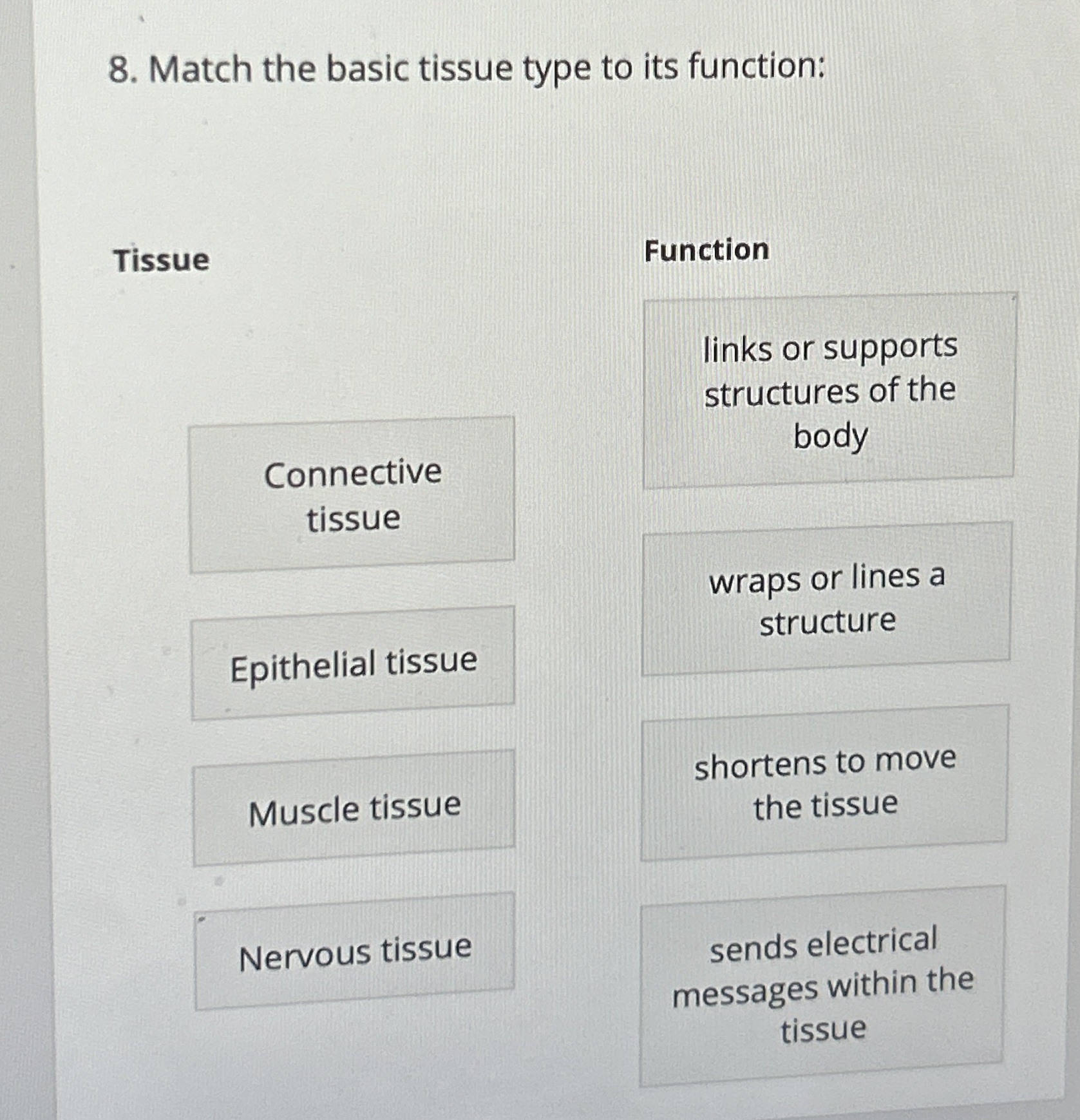 Solved Match the basic tissue type to its | Chegg.com
