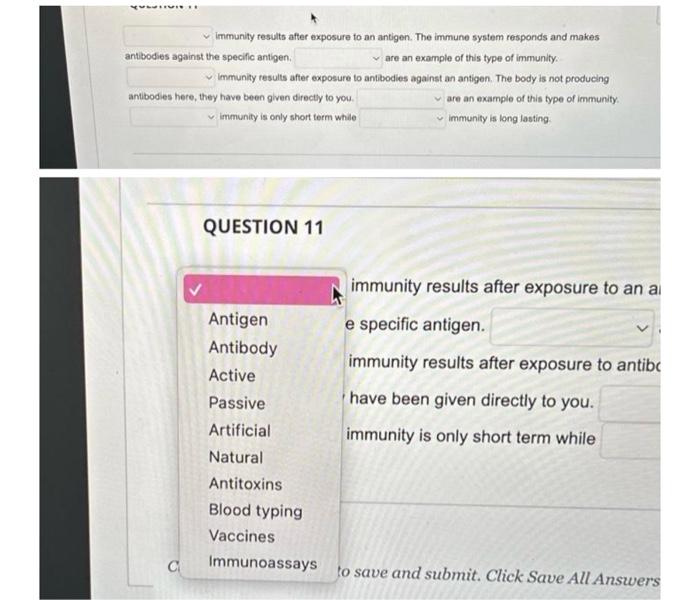 Solved immunity results after exposure to an antigen. The | Chegg.com