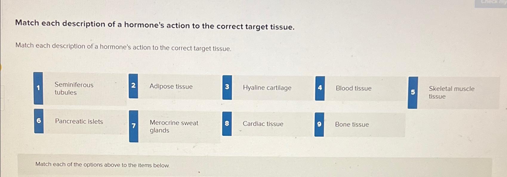 Solved Match each description of a hormone's action to the | Chegg.com