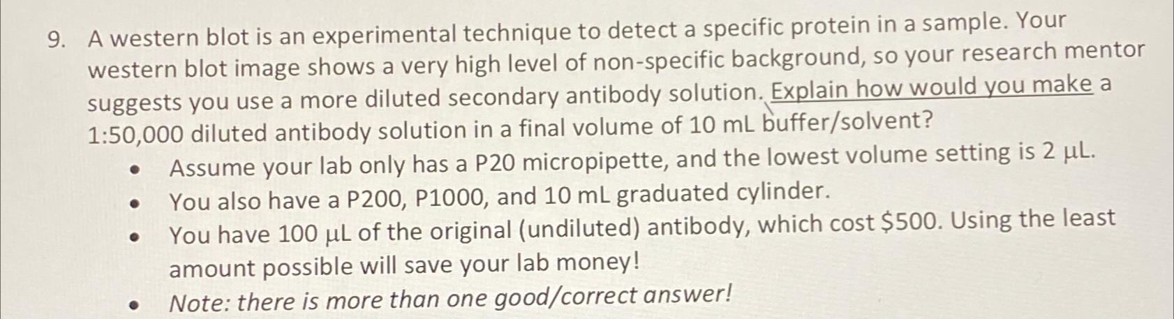 Solved A western blot is an experimental technique to detect | Chegg.com