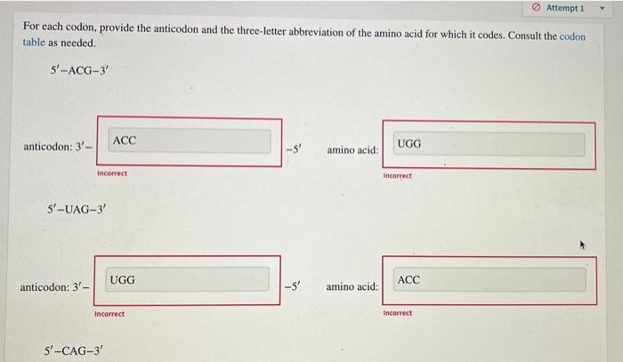 Solved For each codon, provide the anticodon and the | Chegg.com