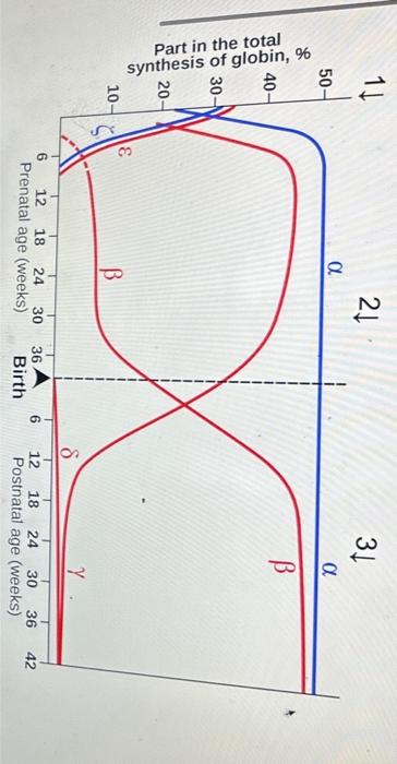 Part in the total synthesis of globin, %These are the | Chegg.com