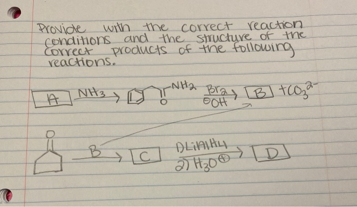 Solved Provide With The Correct Reaction Conditions And The