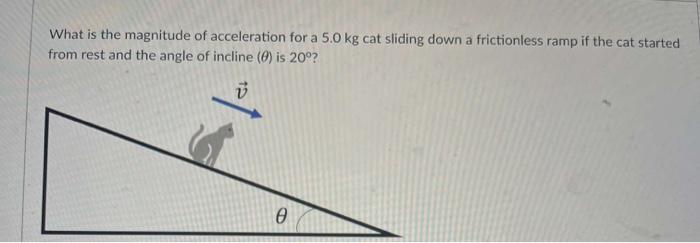 Solved What is the magnitude of acceleration for a 5.0 kg | Chegg.com